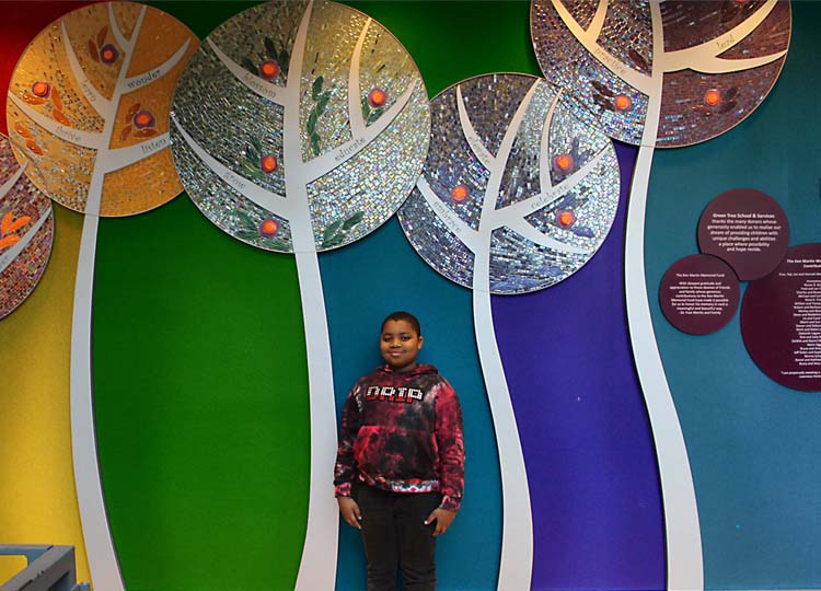 Learn More about Green Tree School & Services Programs